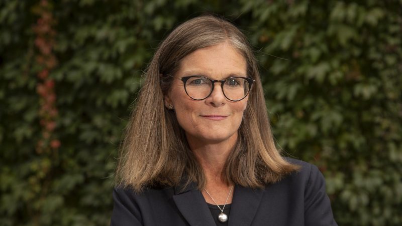 Competencies for Librarians in a Technologically Driven Global Climate ...